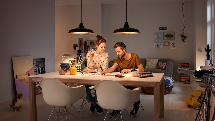 Light Switches - SceneSwitch | Philips lighting